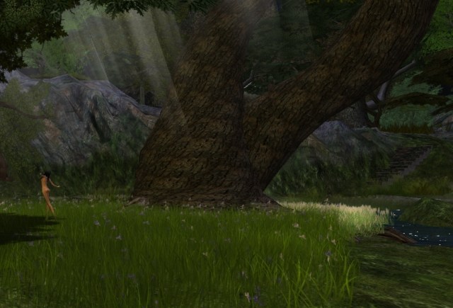 Lupe’s Magic Forest & Naturist Island | Madness, Matter, and Rambling Thoughts